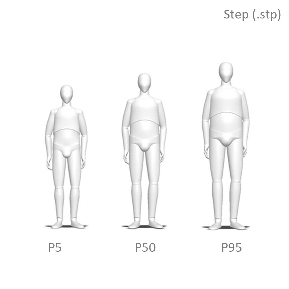 3D Human Model USA Male ASUS 17 51 Years P5 P50 P95 STEP 3D Human Model USA Male ASUS 17 51 Years P5 P50 P95 STEP